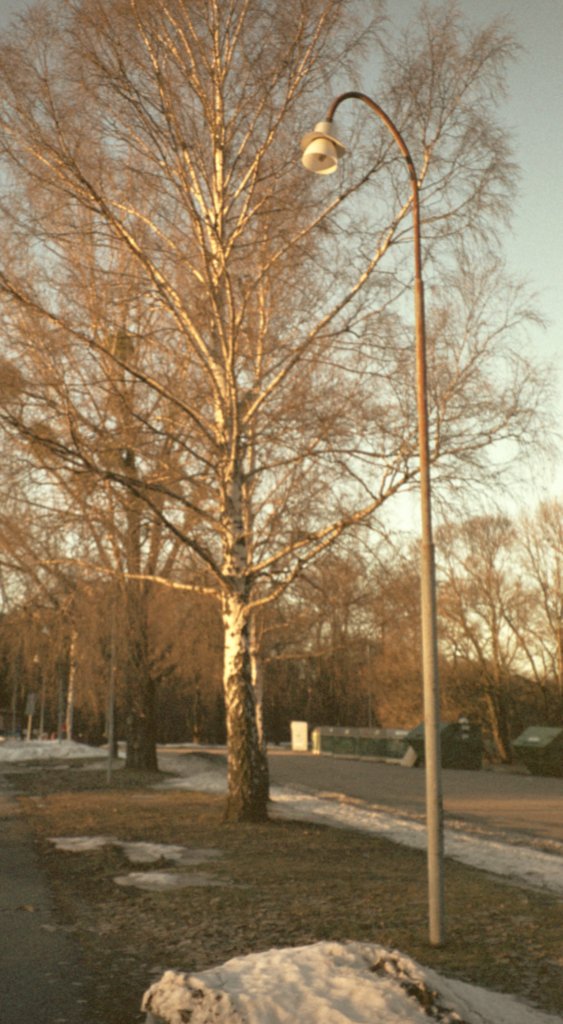 Elektriskt museum - gatlykta med J-formad stolpe, ASEA